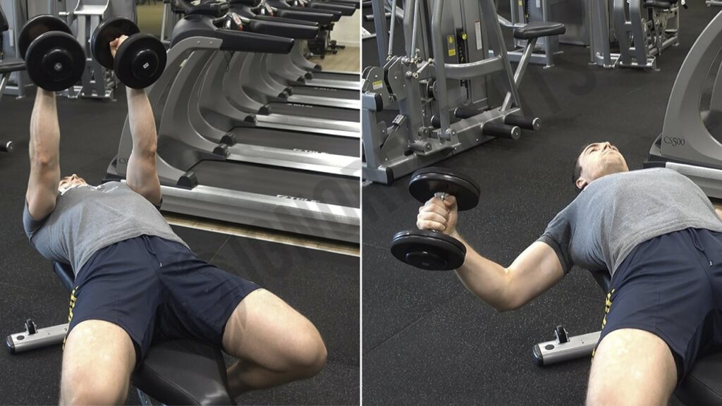 Aperturas con mancuernas: Plano, inclinado y declinado – EresFitness