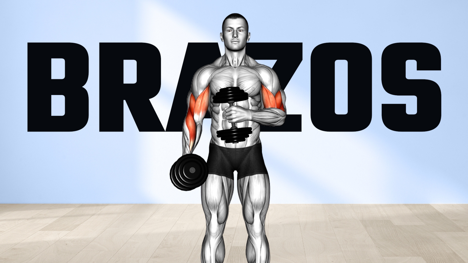 Rutina de bíceps y tríceps con mancuernas desde casa - EresFitness